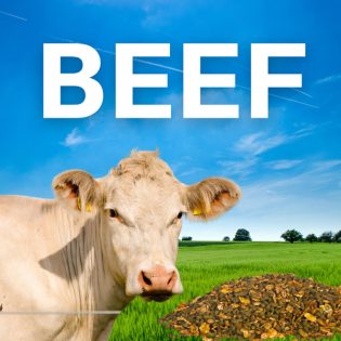 RED MILLS 15% Bull Beef Mix - Intensive Finisher for Beef Cattle